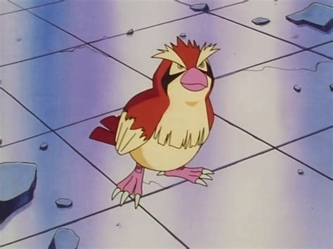 Nurse Joy Pokémon Wiki Fandom Powered By Wikia
