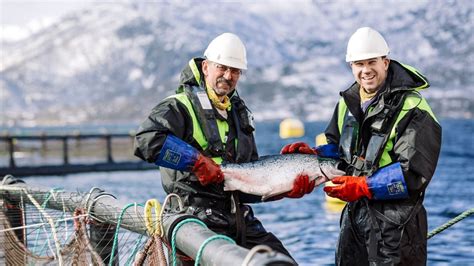 La Acuicultura Noruega Líder En La Producción De Proteínas Sostenibles