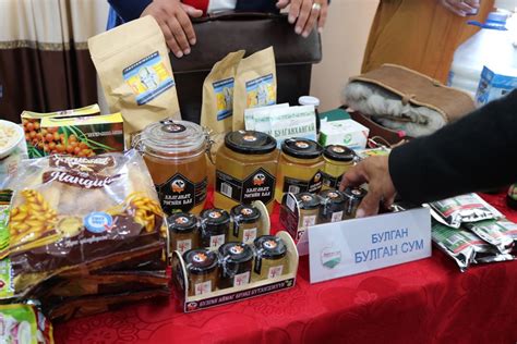 МОНГОЛ УЛСЫН 21 АЙМГИЙН ТӨВИЙН СУМДЫН ИТХУРАЛ АЖЛЫН АЛБАДЫН АНХДУГААР ЧУУЛГА УУЛЗАЛТ ӨМНӨГОВЬ