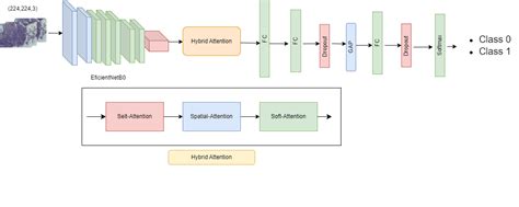 Github Jibesh10101011 Analysis Of Oral Cancer Dataset Analysis Of
