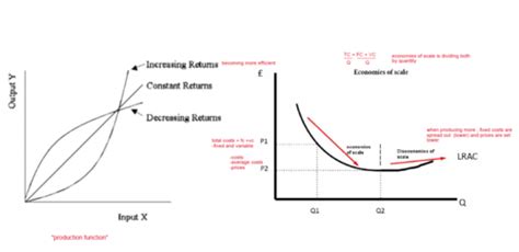 ECON 3100 Chapter 5 Exam 1 Flashcards Quizlet