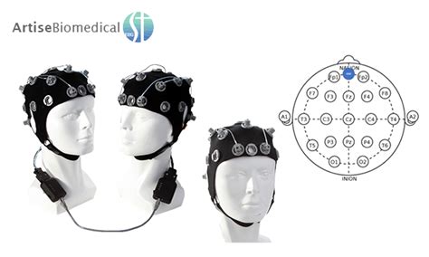 Eeg