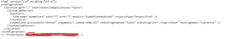 Get 500 Error When Deploy A Net Core Web App To Iis Server By Azure