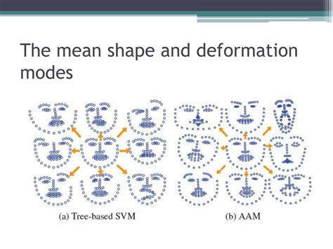 PPT Face Detection Pose Estimation And Landmark Localization In The