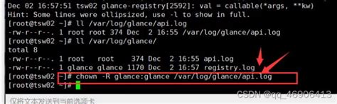 openstack glance api 启动失败 阿里云开发者社区