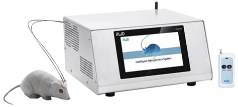 Optogenetic System Photosensitive Protein Gene