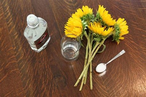14 Trucs Qui Promettent De Nous Rendre La Vie Plus Facile Trucs Et