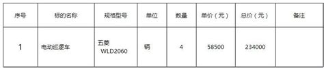 【政府采购】青田县市场监督管理局电动巡逻车项目（二次）成交结果公告