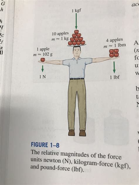 Discovered This Man Asserting Dominance In My Thermodynamics Textbook