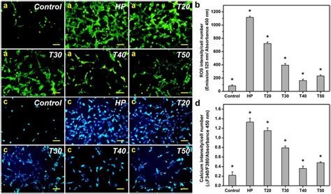 In Vitro Antioxidant Activity Studies Effect Of Polymer Carrier