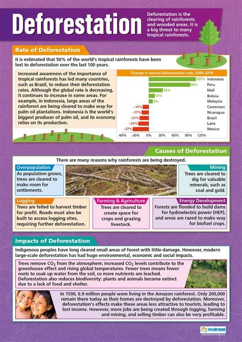 Deforestation Causes Effects And Preventive Measures Artofit