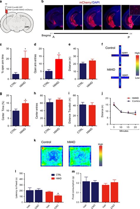 Bidirectional Control Of Anxiety Related Behaviors In Mice Role Of