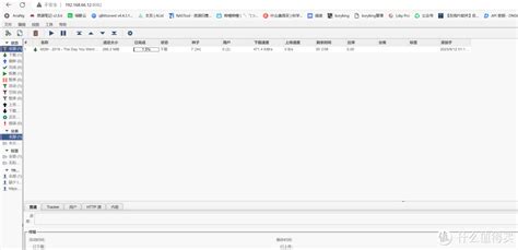 Nas Qbittorrent Nastool