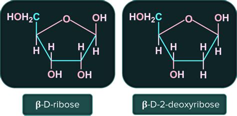 In Definition Types And Importance Aesl