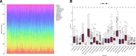 Immune Cell Infiltration A The Percentage Of Each Type Of Immune
