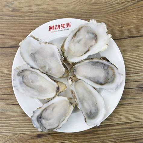 鲜动生活 冷冻乳山半壳生蚝 460g 6 8粒 购买最佳价格