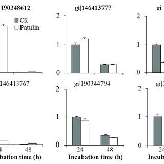 Changes In The Relative Expression Patterns Of Genes Encoding