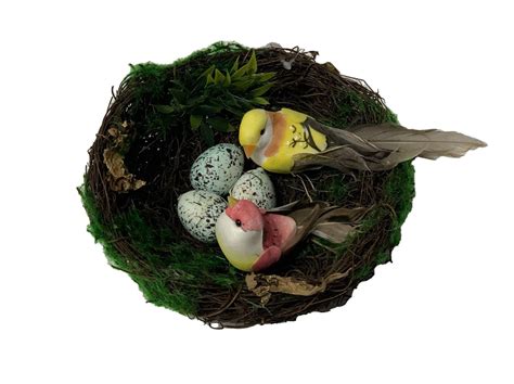 Birds Nest Leroy Merlin South Africa