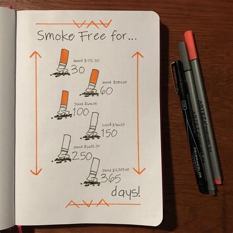 My First Journal And My First Entry Rbulletjournal
