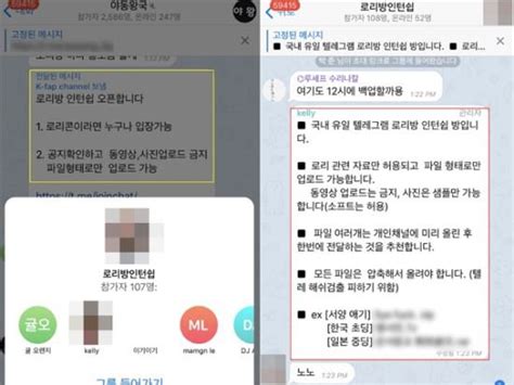단독 상상 초월한 악행 갓갓 후계자 켈리로리방 운영 네이트 뉴스