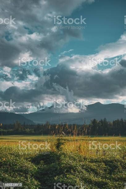 체어리프트 스키 리프트 On Mount Washington Courtenay Comox Valley Strathcona 밴쿠버