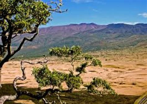 Division of Forestry and Wildlife Wildlife Program Kipuka ʻAinahou Nēnē Sanctuary