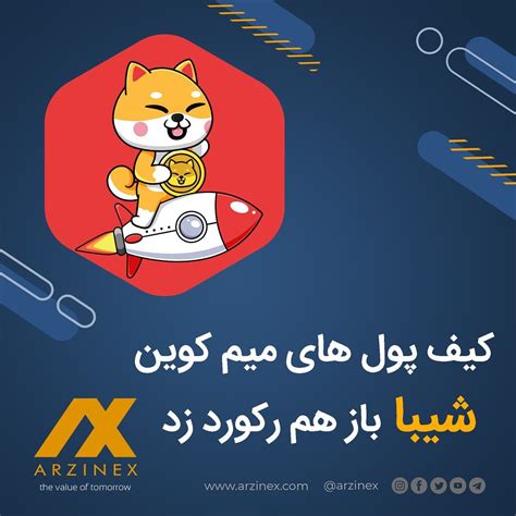 کیف‌ پول‌ های میم کوین شیبا باز هم رکورد زد دنیای رمزارز نااریب مجله