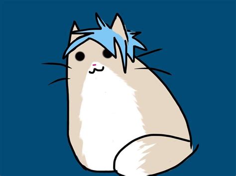 Chibi Cat Wallpapers Top Free Chibi Cat Backgrounds Wallpaperaccess