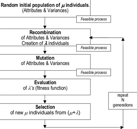 Flowchart For The Evolution Strategy Es Evolution Strategies Ess