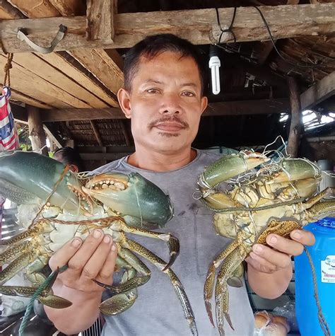 Kainan Sa Tabing Dagat Mga Idol Highlightseveryone Fbreelsvideo