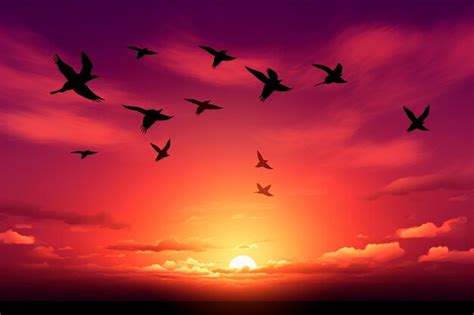 Premium Photo Silhouette Of Birds Flying At Sunset