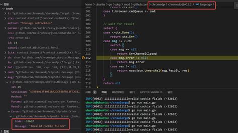 When I Set Storage Cookie Chrome Return Error Issue Chromedp