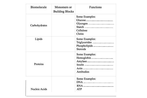 Biomolecule Monomers Or Functions Building Blocks Some Examples Glucose Glycogen Starch
