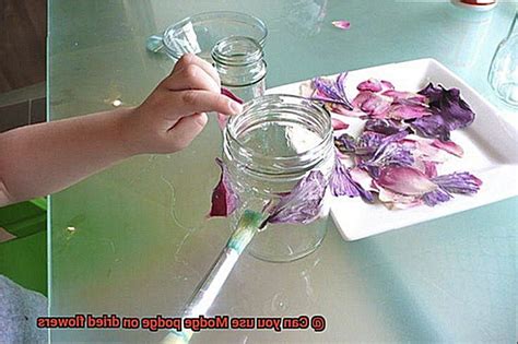 Can You Use Modge Podge On Dried Flowers Glue Things