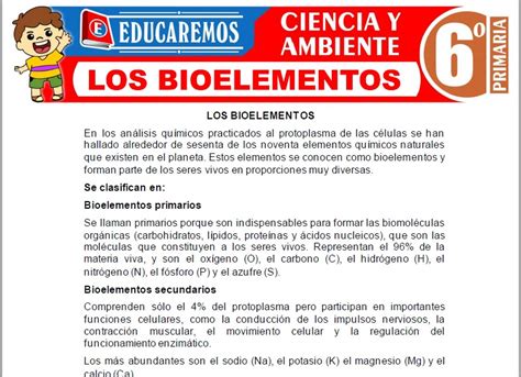 Los Bioelementos Para Sexto De Primaria Fichas Gratis 📚