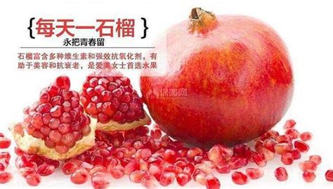 生活小常識紅石榴的功效與作用 愛我窩