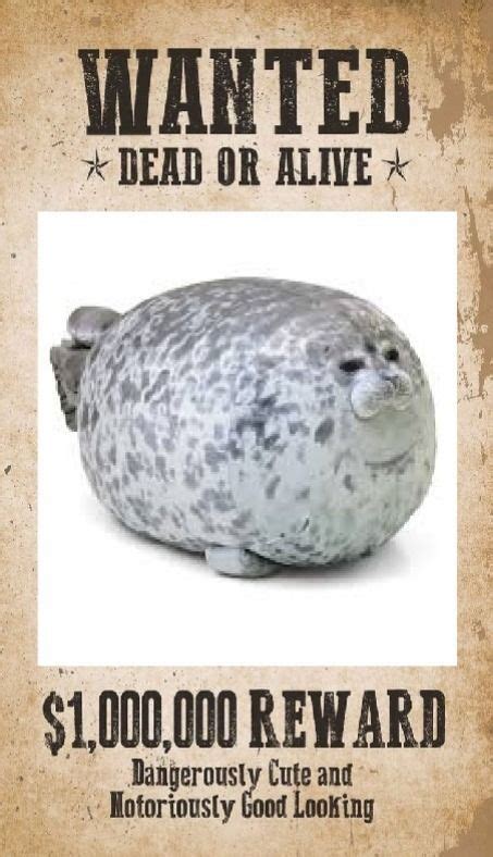 Big Foka Wanted In 2025 Cute Seals Animal Pillows Cute Animals