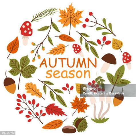 라운드 프레임 오크 단풍 나무 Boletus 비행 Agaric의 잎과 가을 프레임의 벡터 일러스트 레이 션 0명에 대한 스톡
