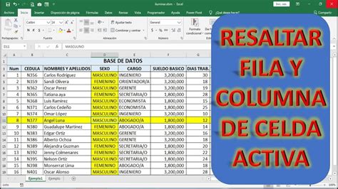 Como Resaltar Fila En Excel Mientras Trabajo Image To U
