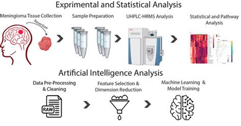 Metabolomic And Lipidomic Characterization Of Meningioma Grades Using Lchrms And Machine