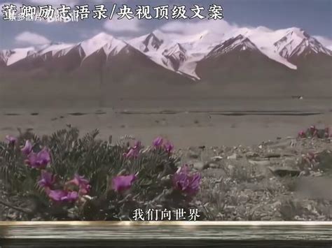 “少年不惧岁月长，彼方尚有荣光在” 哔哩哔哩