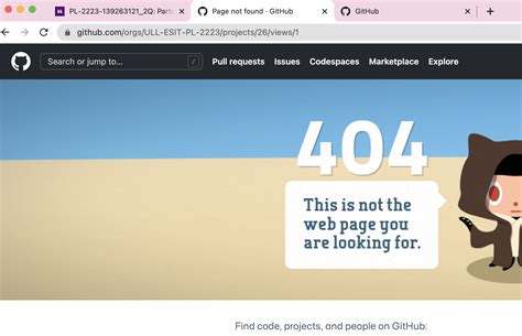 Github Project Board Pl