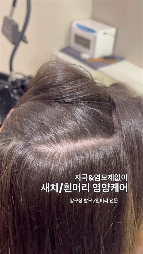 탈모관리 Wt메소드 클래시 압구정점 압구정탈모전문 💆🏻‍♀️happy New Hair💆🏻‍♀️ 2025년 새해를 맞아 Wt메소드에서 1월 이벤트를 준비했습니다🫶🏻