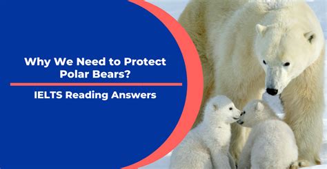 Why We Need To Protect Polar Bears IELTS Reading Answers