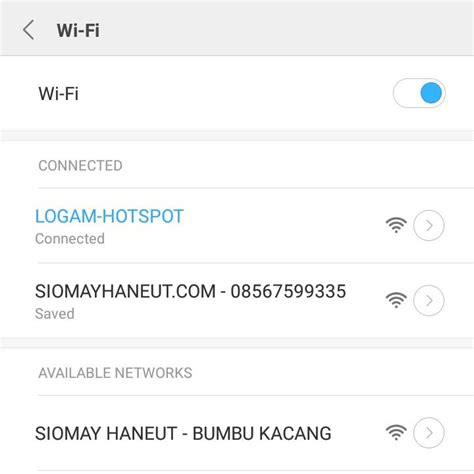 Potensi Bisnis Jasa Iklan Untuk Pemilik Jaringan Hotspot Logam Id