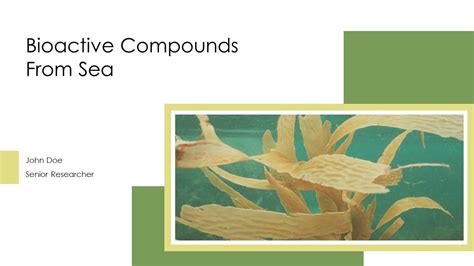Bioactive Compounds From Sea Ppt Example Acp Ppt Presentation