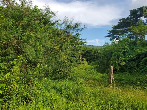 Land For Sale In Portland Hermitage Farm 14 Acre