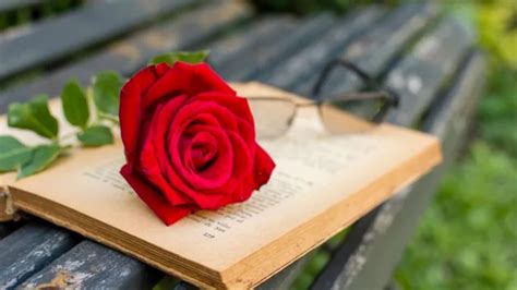 ¿por Qué Se Celebra El Día Del Libro Fecha Y Origen De La Celebración