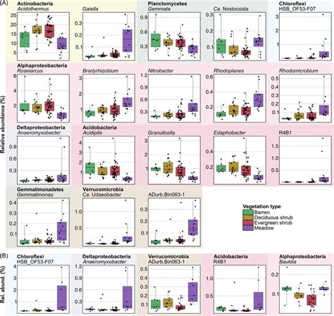 Boxplots Showing Abundant Genera Mean Abundance Larger Than The 2 Fold Download Scientific
