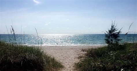 Paradise Album On Imgur